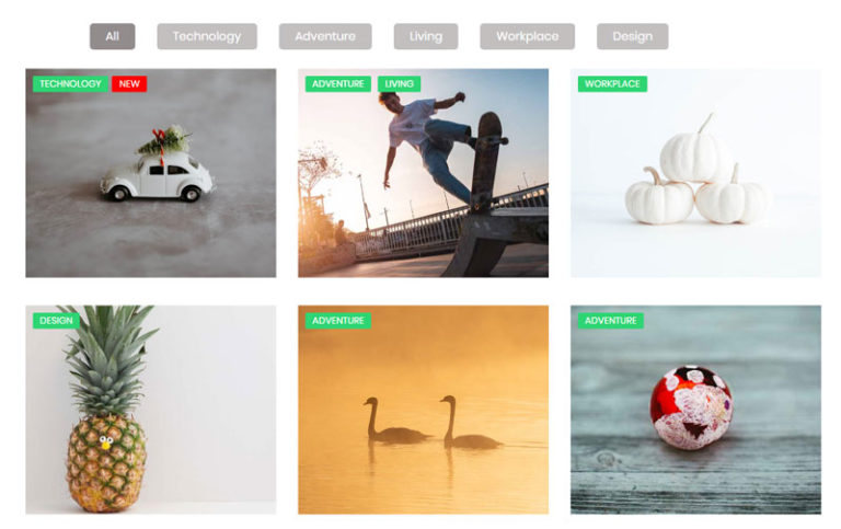 Top 10 Elementor Filterable Gallery Plugin for WordPress